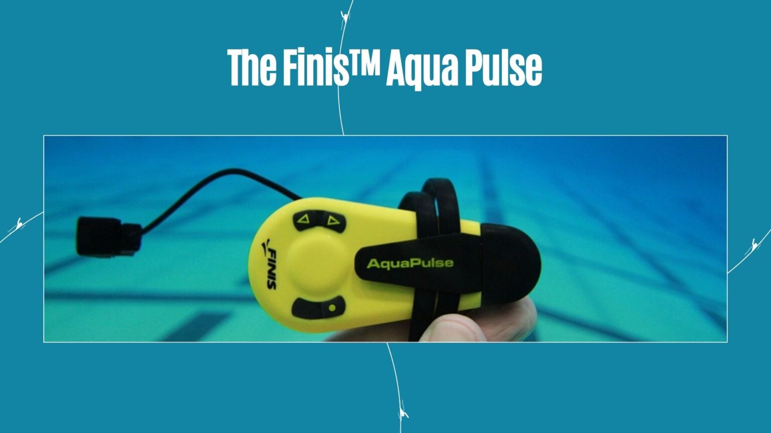 The Finis™ Aqua Pulse | Tropical Penguin