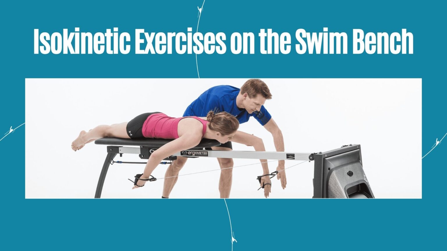 Isokinetic Exercises on the Swim Bench | Tropical Penguin